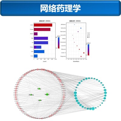 网路药理学/中药覆方/GO KEGG富集/PPI网路/Cytoscape/分子对接