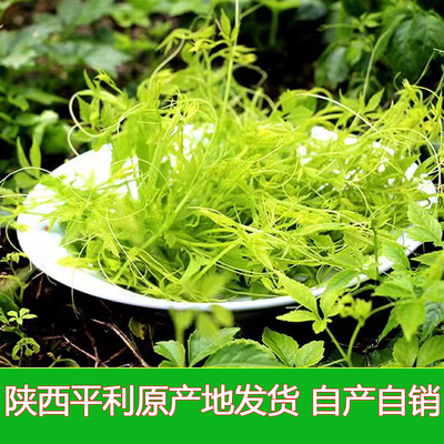 正品平利绞股蓝龙须茶野生七叶甘苦五叶嫩芽正宗平利绞股兰茶正品