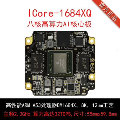 BM1684X核心板八核高算力32TAI