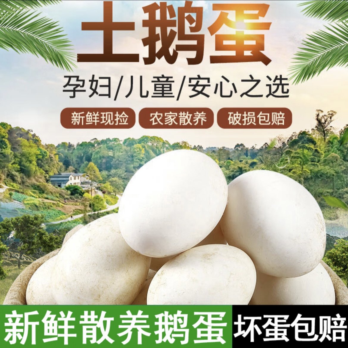 新鲜农村散养土鹅蛋正宗东北吉林土鹅蛋孕妇宝宝老人放心食用