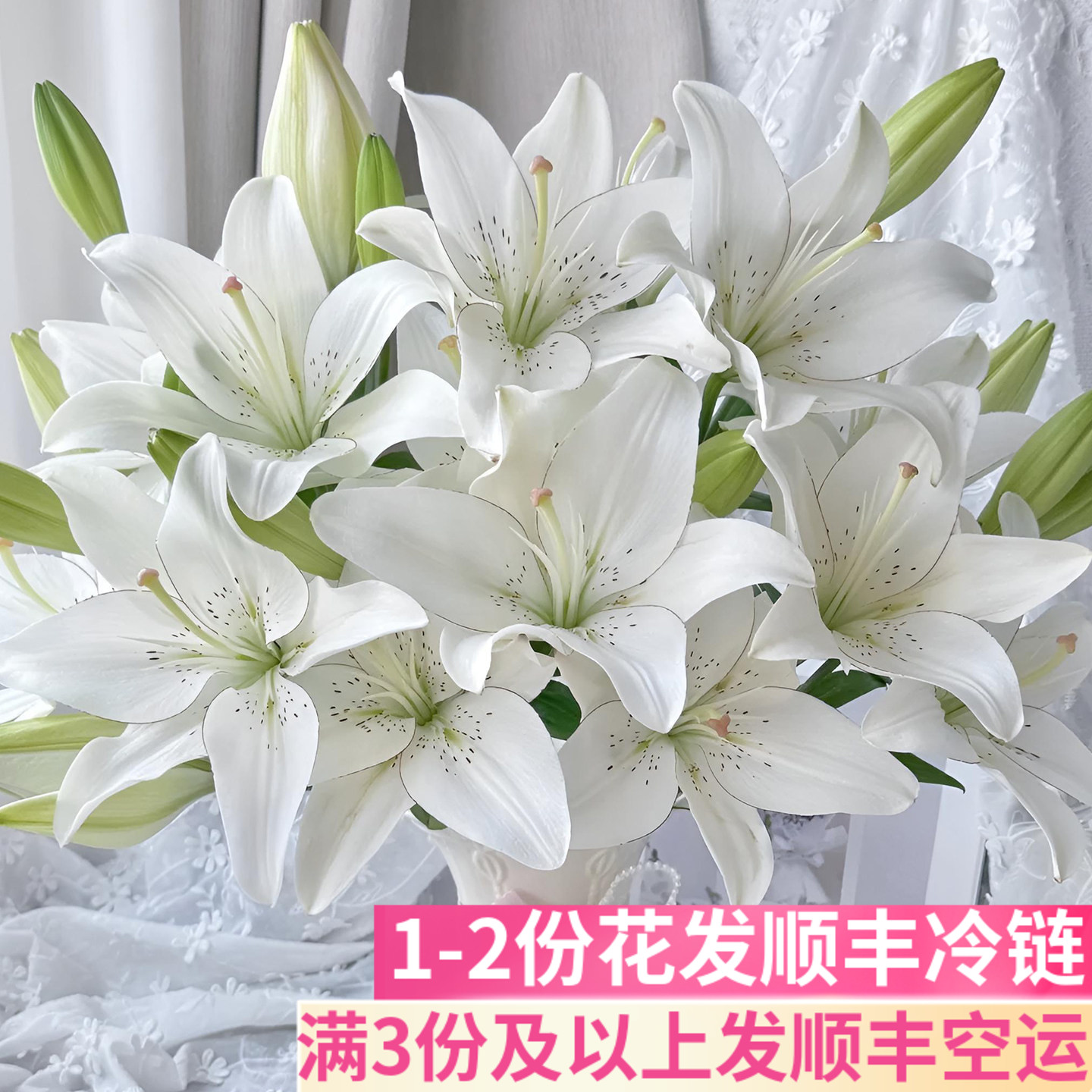 眼线亚百合花鲜花鲜切花水养家用插花云南斗南基地直发花卉市场