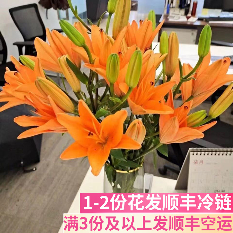 橙色亚百合花云南昆明斗南鲜花基地直发花卉真花插鲜切花梦想市场