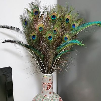 【色彩斑斓】进口纯天然真孔雀羽毛毛翎大眼睛 家居花瓶摆件客厅D