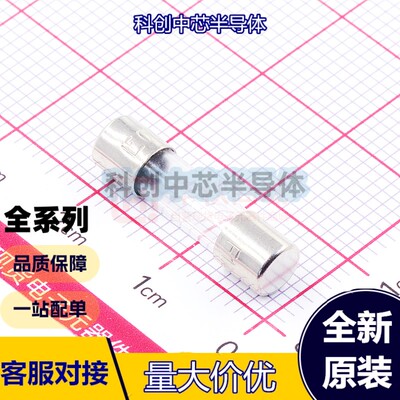 10个 0617001.MXP D5.2xL20mm 一次性保险丝（熔断） 1A 250V