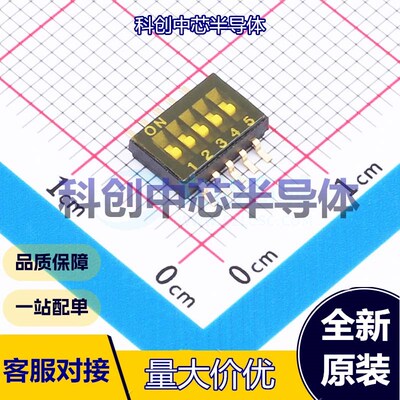 1个 DSHP05TSGER 拨码开关 SMD-10P,7.9x5.4mm     全新原装