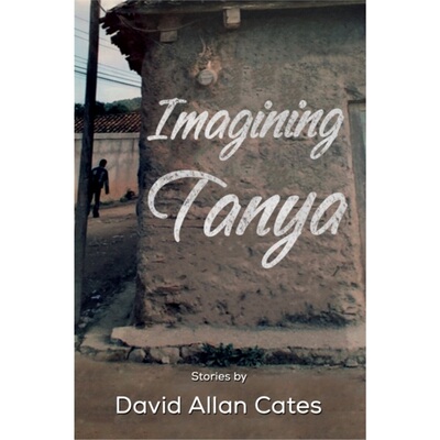 预订Imagining Tanya[9781647507527]