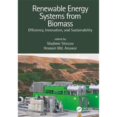 按需印刷Renewable Energy Systems from Biomass:Efficiency, Innovation and Sustainability[9781498767903]