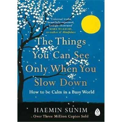 现货 The Things You Can See Only When You Slow Down:只有当你慢下来时你才能看到的东西 How to be Calm in a Busy World