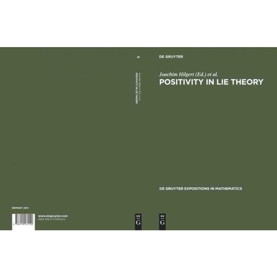 按需印刷不退不换DGYT Positivity in Lie Theory[9783110161120]
