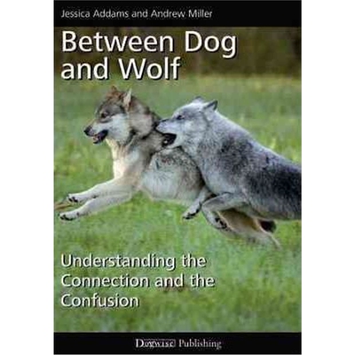 预订Between Dog and Wolf:Understanding the Connection and the Confusion