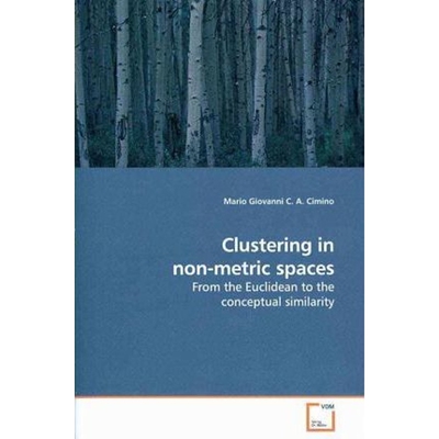 按需印刷Clustering in non-metric spaces[9783639187496]