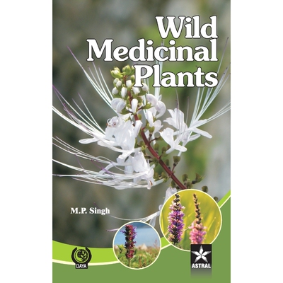 按需印刷Wild Medicinal Plants[9789351242321]