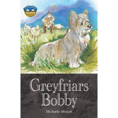 预订不退不换Storyworlds Bridges Stage 12 Greyfriars Bobby (single)