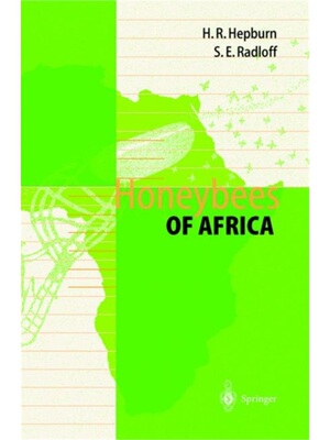预订不退不换Honeybees of Africa