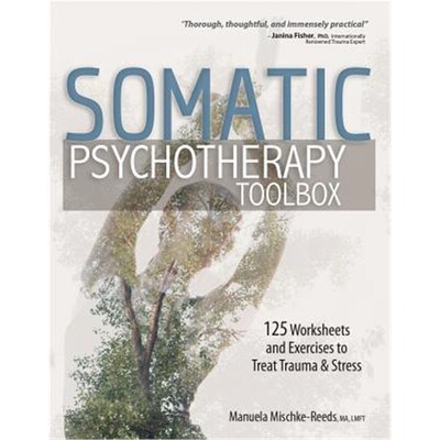 按需印刷不退不换Somatic Psychotherapy Toolbox[9781683731351]