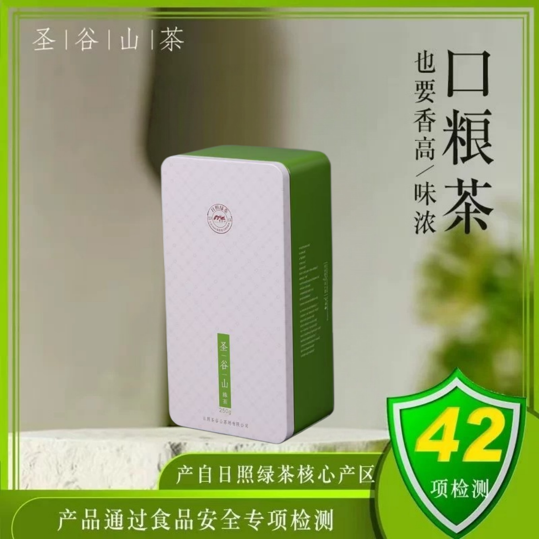 【2026年春茶|日照原产地绿茶】知味精选绿茶250G滋味鲜醇厚