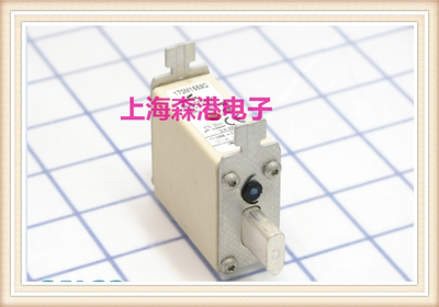 全新熔断器 170M1569D