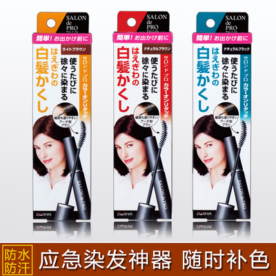 日本Dariya天然植物笔棒剂临时遮白发一次性不伤发膏