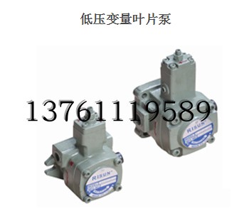 RiSUNY变量叶片泵 VB1-20F-A2 VE1-20F-A3 VB1-20F-A3 VB1-20F-A2