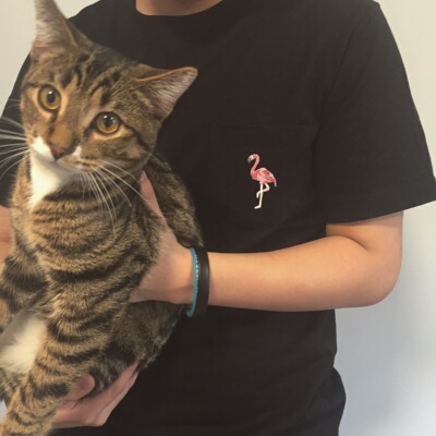 纯棉情侣刺女刺绣火烈鸟短袖