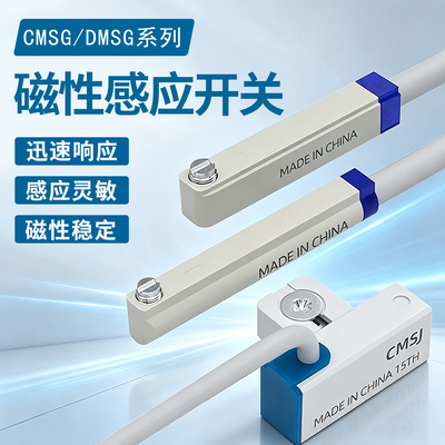 传感器磁性开关国产精品