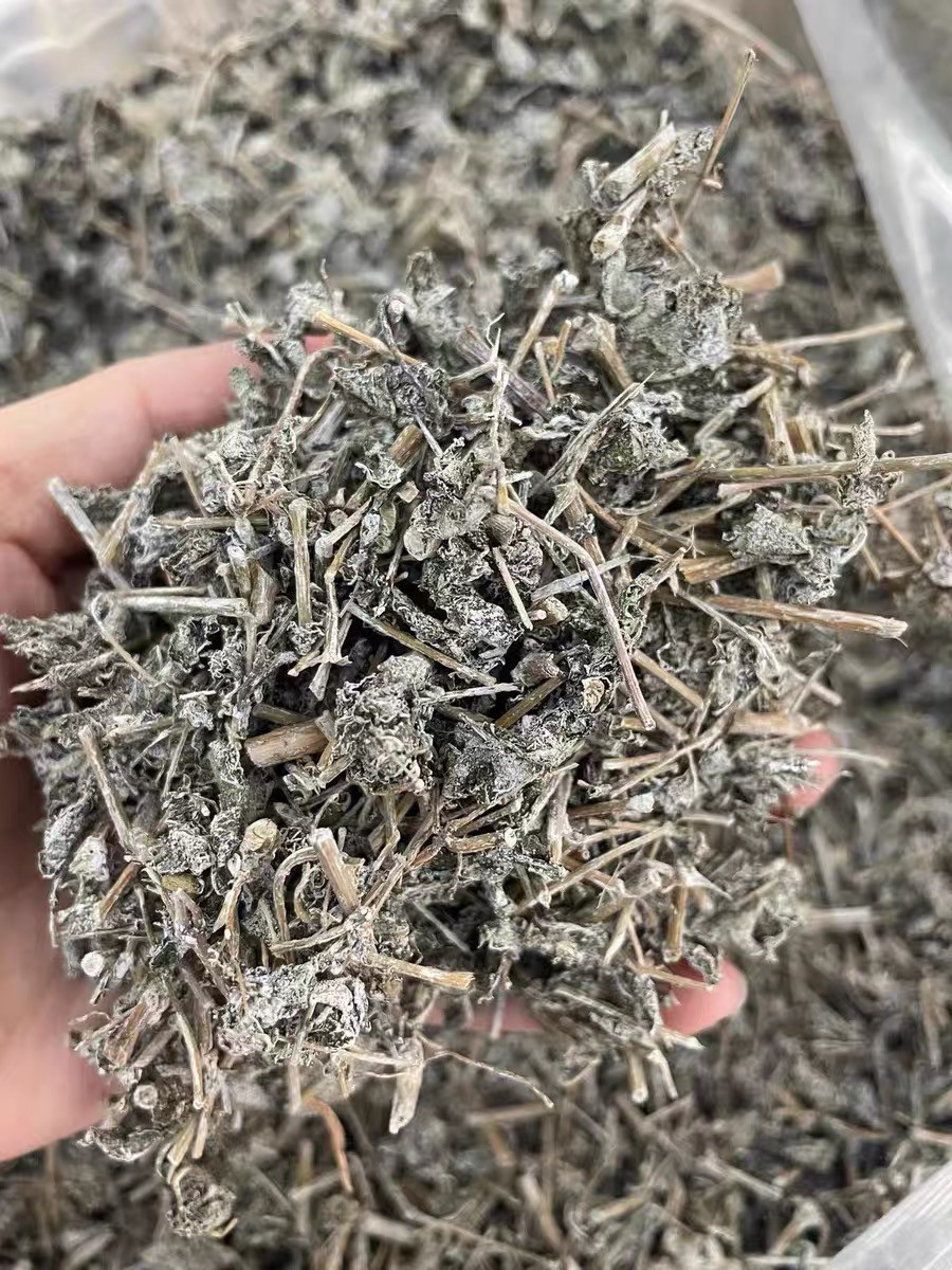 广东韶关白茶野生溪黄茶莓茶藤茶霉茶农家手工癞痢茶凉茶