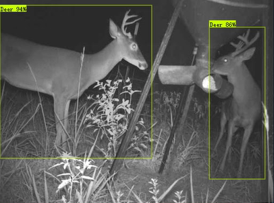 D00356-野生动物红外相机目标检测数据集9700张左右