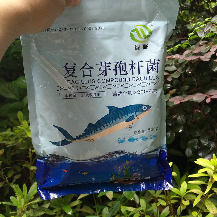 绿陇生物水源改良剂复合芽孢杆菌水产养殖鱼虾鳖丰富水草水族用品
