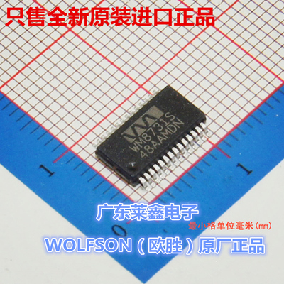 全新原装正品 WM8731SEDS WM8731 SSOP-28 编解码器 集成电路芯片