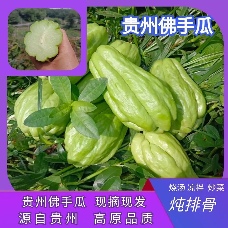 贵州佛手瓜新鲜现摘现发炖汤凉拌炒菜高原品质散装1斤