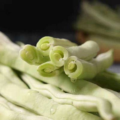 云南高山新鲜白不老豆角