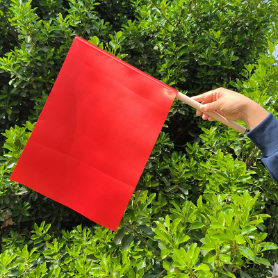 六一元旦儿童幼儿园课间操做早操道具舞蹈红彩旗活动旗帜木柄旗子