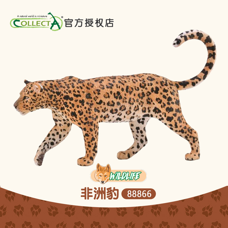 正品英国CollectA我你他非洲猎豹子仿真野生动物模型玩具88866_虎窝淘