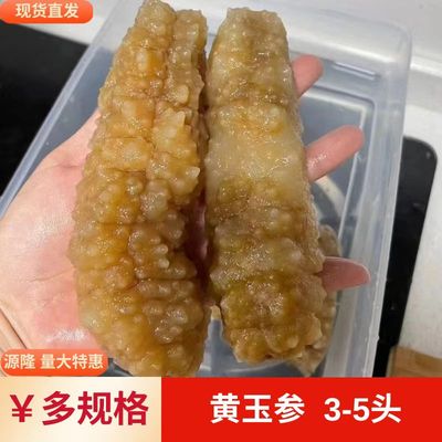 黄玉参水发即食海参刺参海参包邮