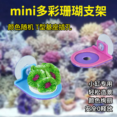 mini多彩吸盘珊瑚支架海缸繁殖断枝架造景底座支架 LPS SPS