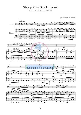 巴赫sheep may safely graze-大提琴分谱+钢琴伴奏谱总分谱 音频