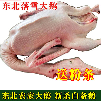 农家笨大鹅新鲜东北散养大白鹅肉黑龙江土鹅白条鹅整只冷冻包邮