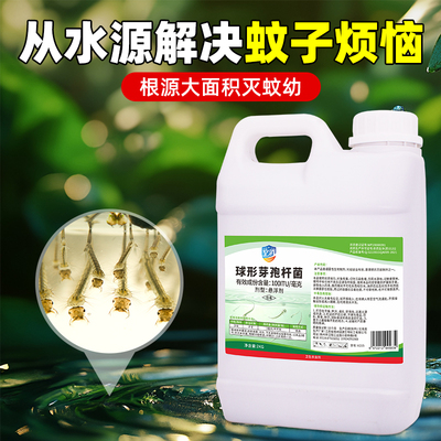 球形芽孢杆菌水池灭蚊剂除孑孓鱼池鱼缸消灭积水幼虫卵蚊子杀虫剂