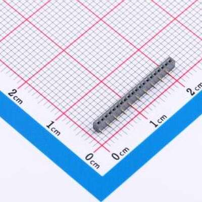 CSCC118-2002A002C1AC 排母 1x20P 间距:1mm 立贴 SMD,P=1mm