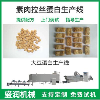 大豆RTT蛋白加全自动设备素肉排设食品工物备植组织拉丝蛋白生产