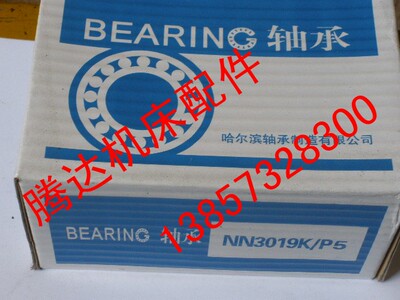 原装正宗哈尔滨轴承HRB精密机床轴承  NN3019K/P5 W33主轴轴承