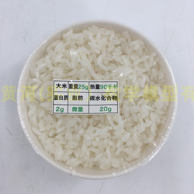 仿真食物模型大碗米饭儿童早教过家家玩具橱窗摆设道具