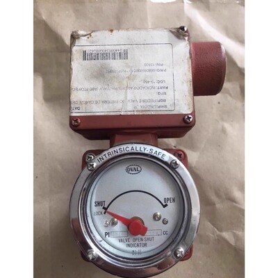 PI45B10 957.2 CC OVAL 流量计