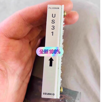 FLICKER UZUSHIO PCB US31 电路板