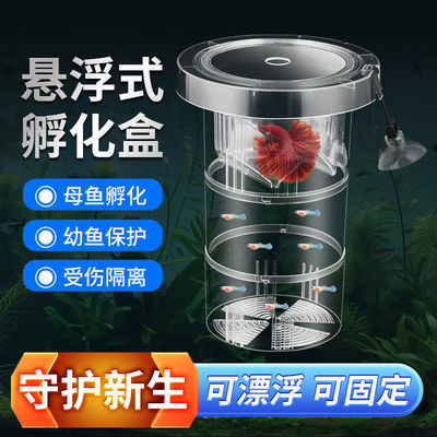鱼缸孵化盒隔离盒孔雀鱼繁殖盒凤尾斑马母鱼产房小鱼缸生鱼产卵房