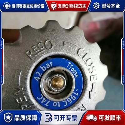 议价多个REGO截止阀EN1626准110R-0203可维修