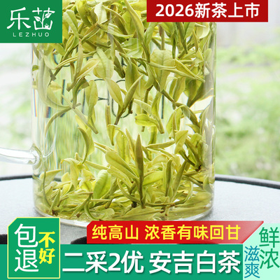 乐茁浓香【明前二采2优 安吉白茶中短芽】2026年新茶正宗珍稀高山