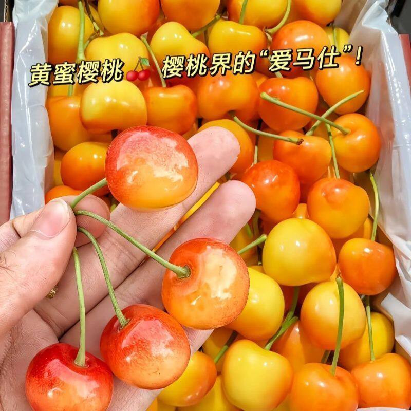 正宗车厘子国产黄樱桃黄蜜新鲜水果当季现摘现发孕妇宝宝辅食