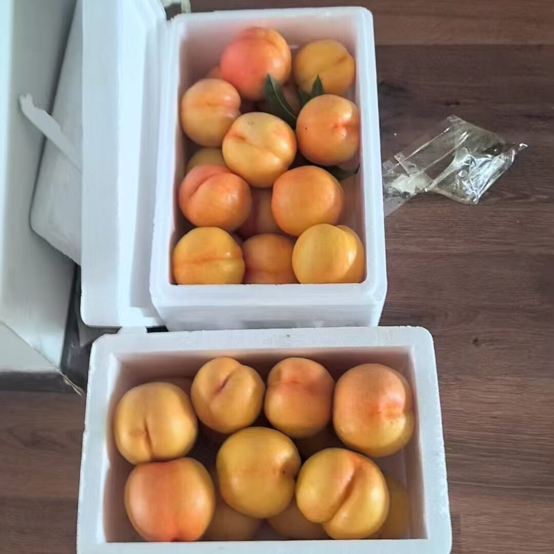 烟台黄油桃,脆甜可口,口感非常好!不要走开,7月15日发货!