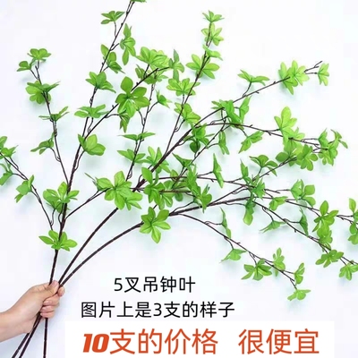 仿真吊钟叶仿真绿植客厅摆设装饰